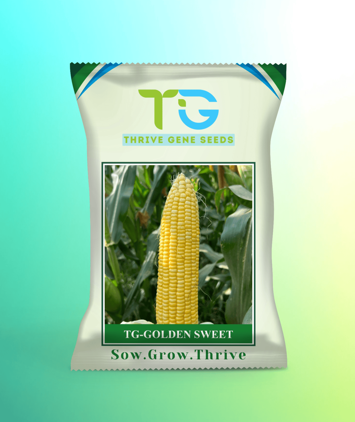 TG-Golden Sweet Hybrid Sweet Corn Seeds – Thrive Gene Seeds (TG Seeds)